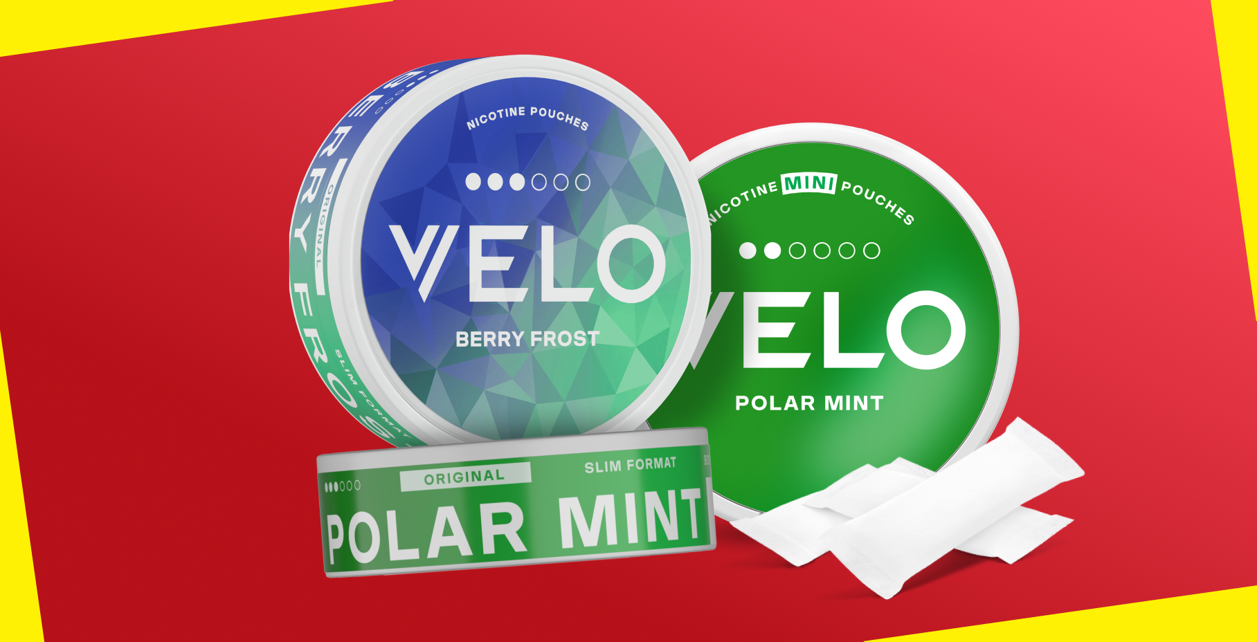 What's Inside a Velo Nicotine Pouch? Ingredients Explained – VELO UAE